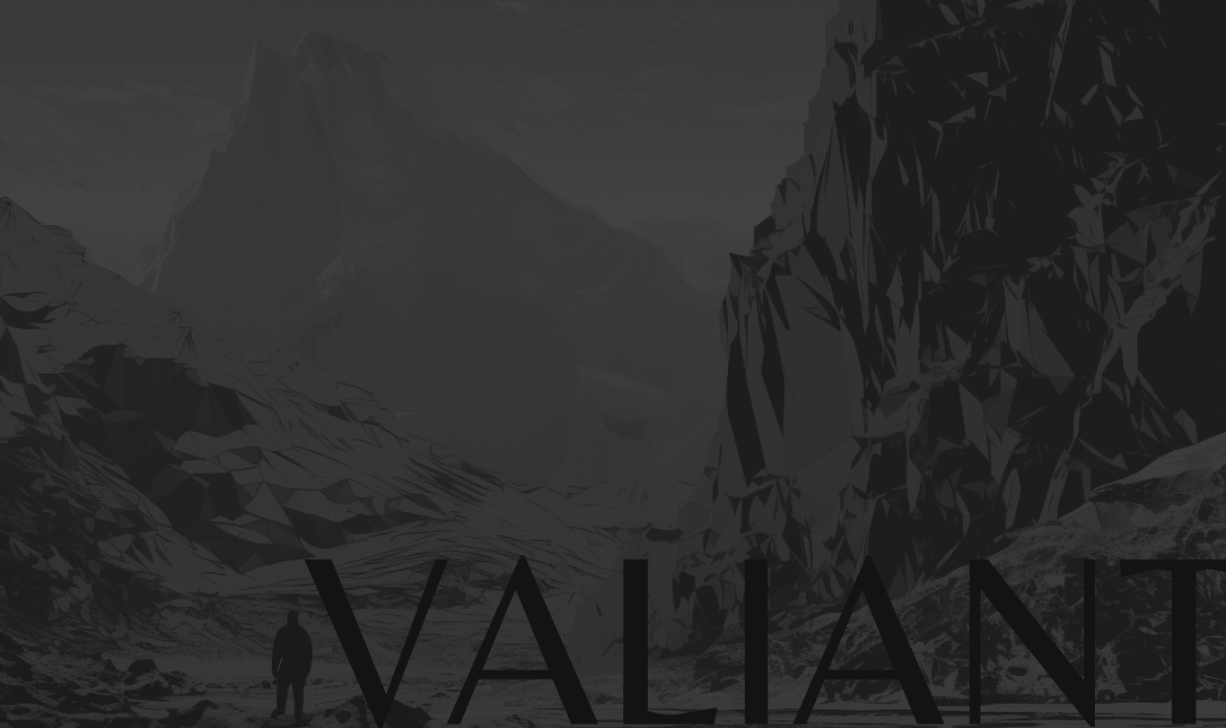 Valiant Capital Partners | Home