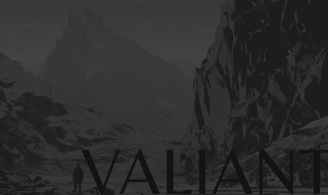 Valiant Capital Partners | Home