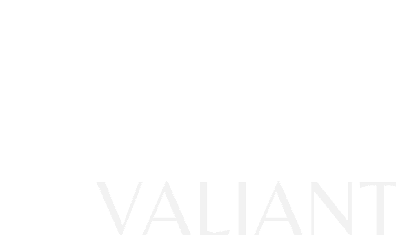 Valiant Capital Partners | Valiant Capital Partners | Contact